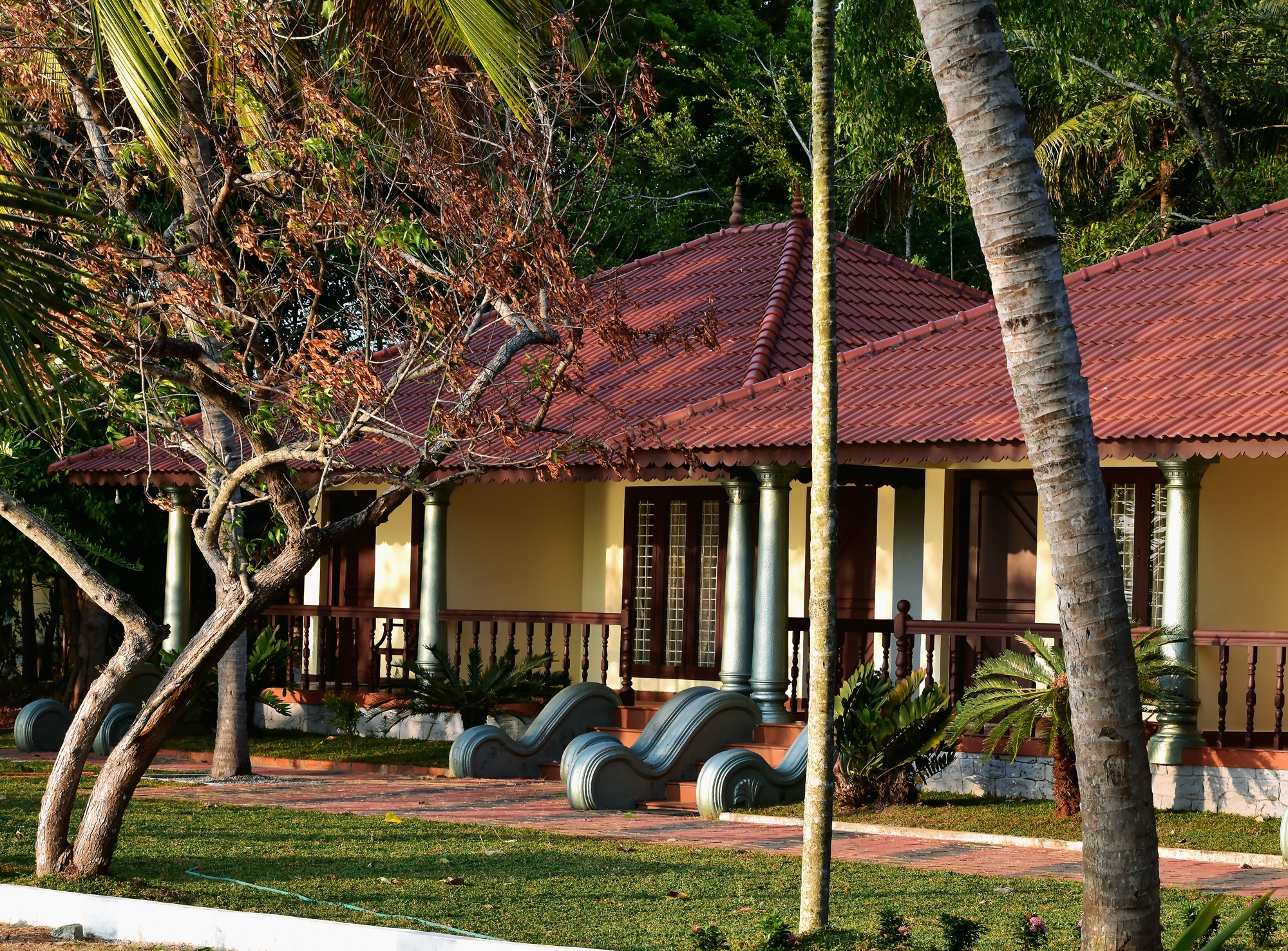 Gallery – Explore Our Ayurvedic Treatment Images at Dhathri